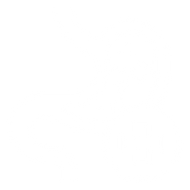 Best Digestive Enzyme for Women | Bloat No More Probiotic Renu