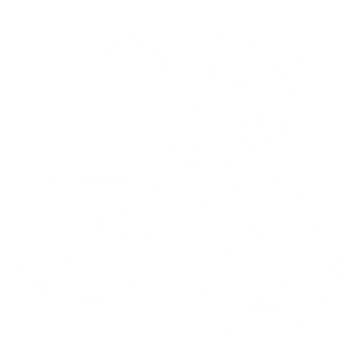 Best Digestive Enzyme for Women | Bloat No More Probiotic Renu